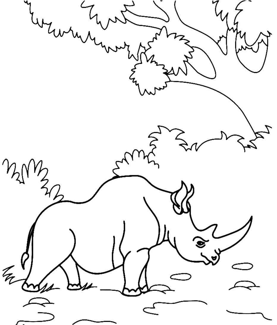 Tô màu Con Tê Giác Hoang Dã - Trang Tô Màu Cho Bé